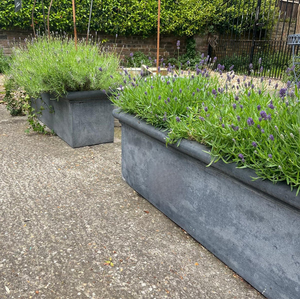 Large Trough Planter - Antique Lead Effect – Greige Lifestyle